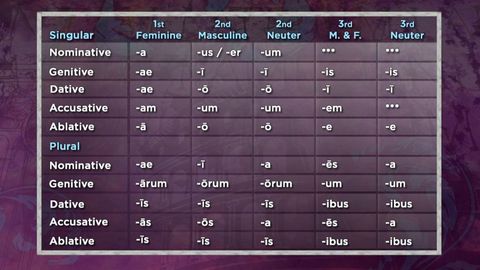 First- and Second-Declension Adjectives